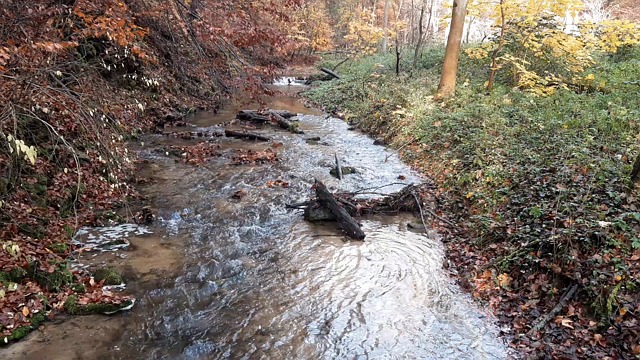 Stream, The Brook, Water. Free Stock Video - Pixabay