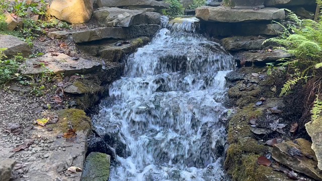Water, Nature, Flow. Free Stock Video - Pixabay