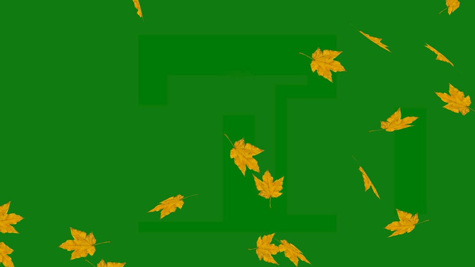 Autumn, Green Background, Leaf Fall. Free Stock Video - Pixabay