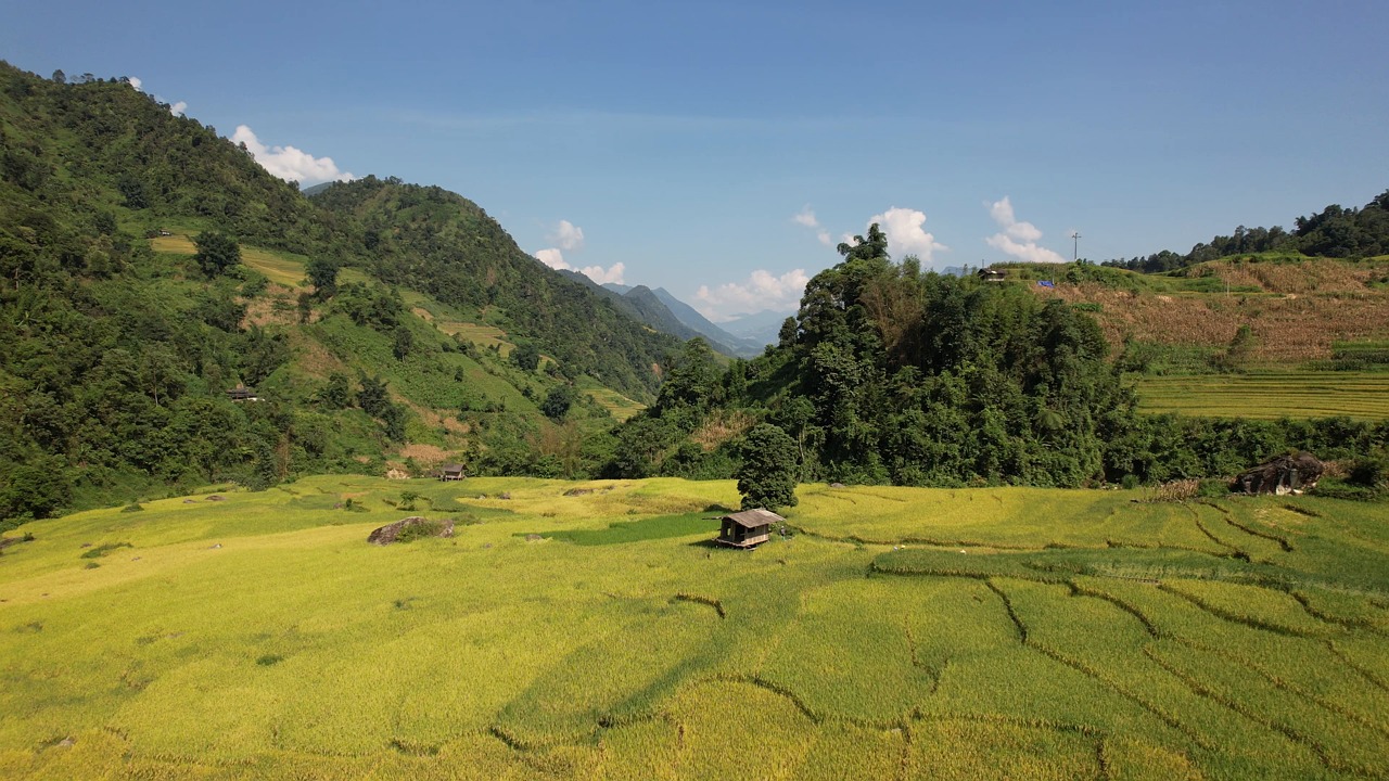 Sapa Montaña Arroz - Free video on Pixabay
