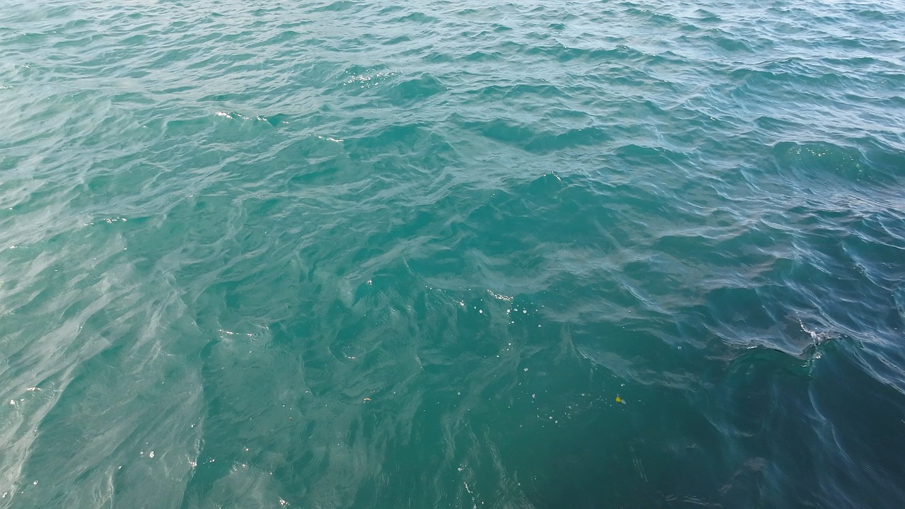 Sea, Water, Nature. Free Stock Video - Pixabay