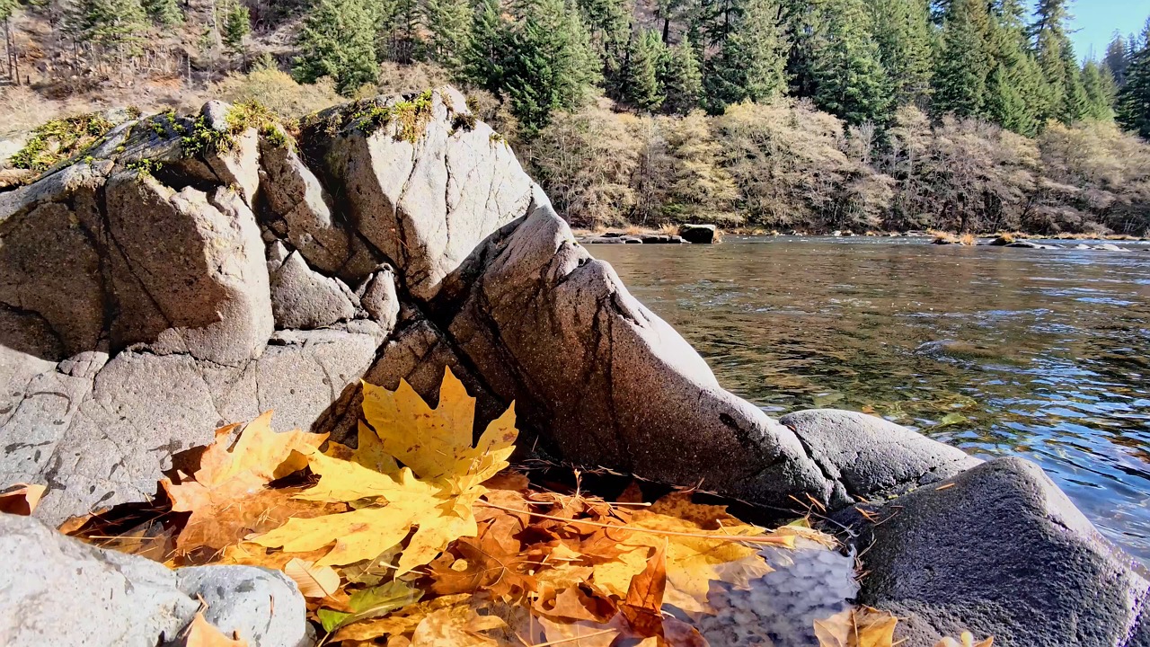 River, Rocks, Autumn. Free Stock Video - Pixabay