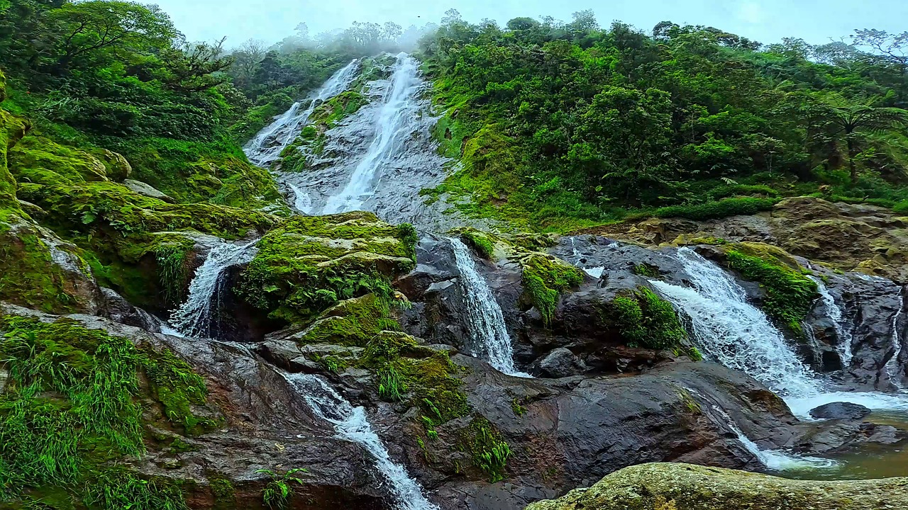 Water Sounds Sound Of - Free video on Pixabay