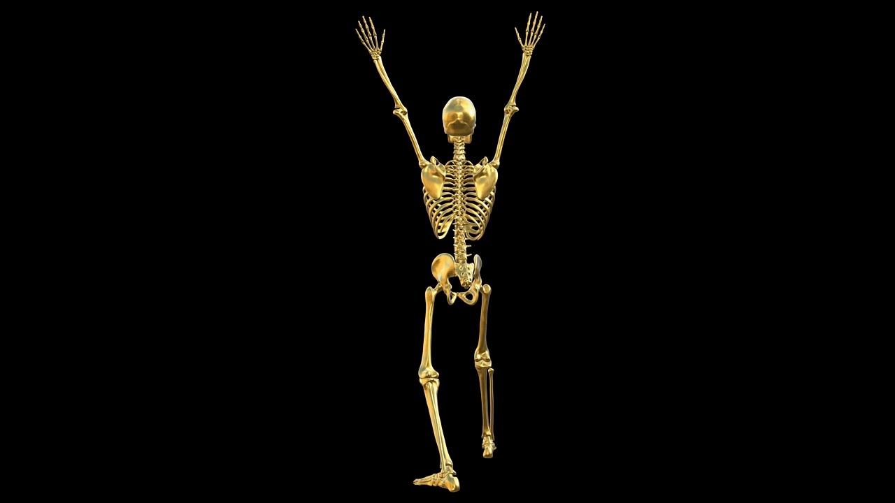 Flip, Skeleton, Handstand. Free Stock Video - Pixabay