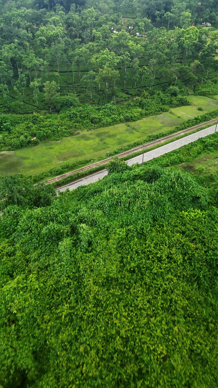 Sylhet, Bangladesh, Fenchuganj. Free Stock Video - Pixabay
