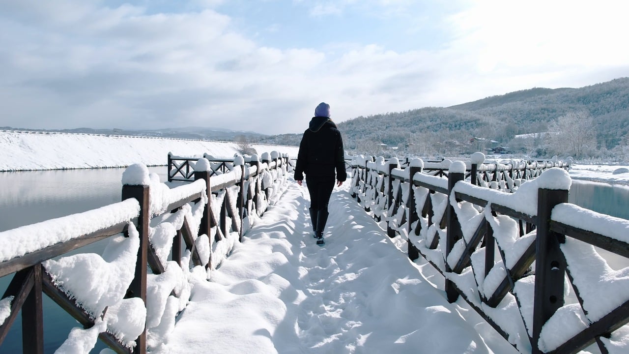 Snow, Winter, Nature. Free Stock Video - Pixabay