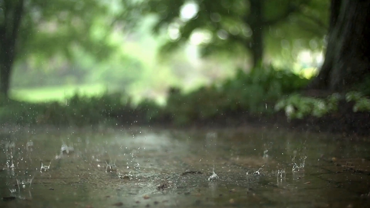 Rain Falling, Rainfall, Cinemagraph. Free Stock Video - Pixabay