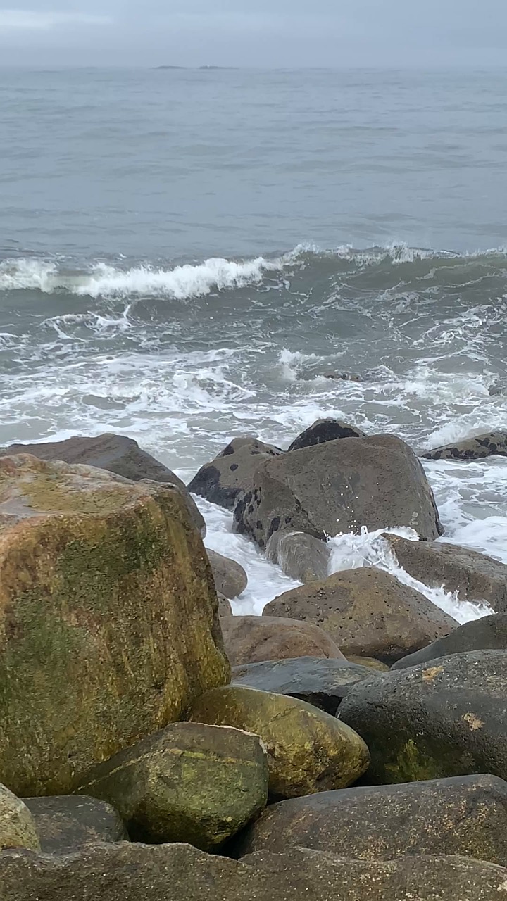 Beach, Sea, Ocean. Free Stock Video - Pixabay