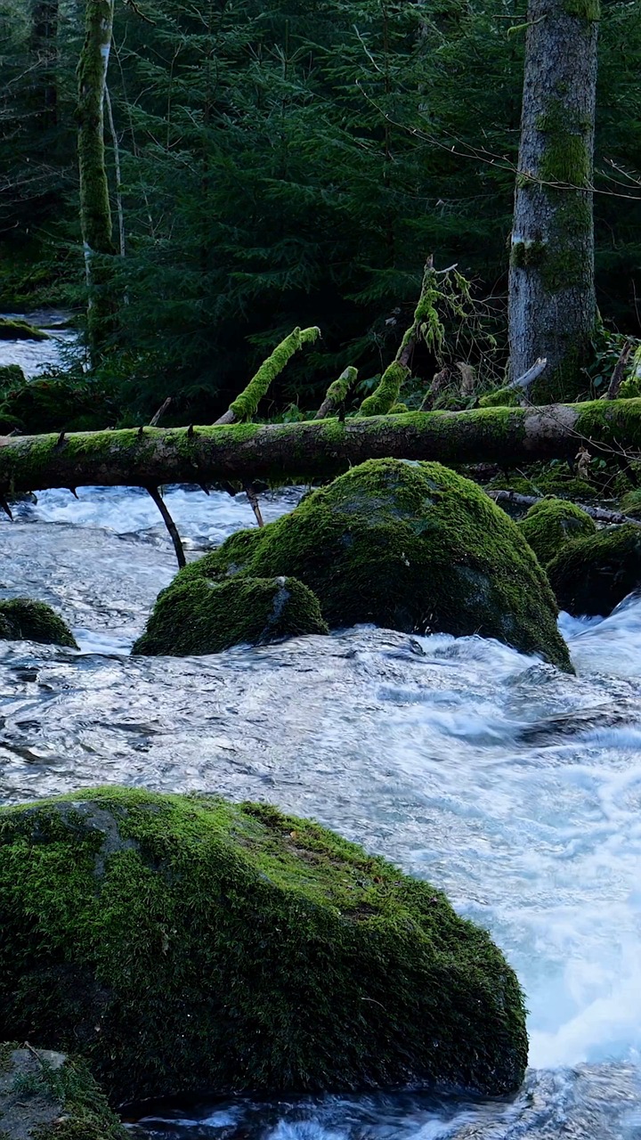 Rushing River, River Water, Cinemagraph. Free Stock Video - Pixabay