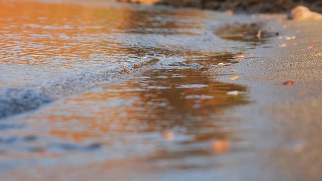 Beach, Sea, Sand. Free Stock Video - Pixabay