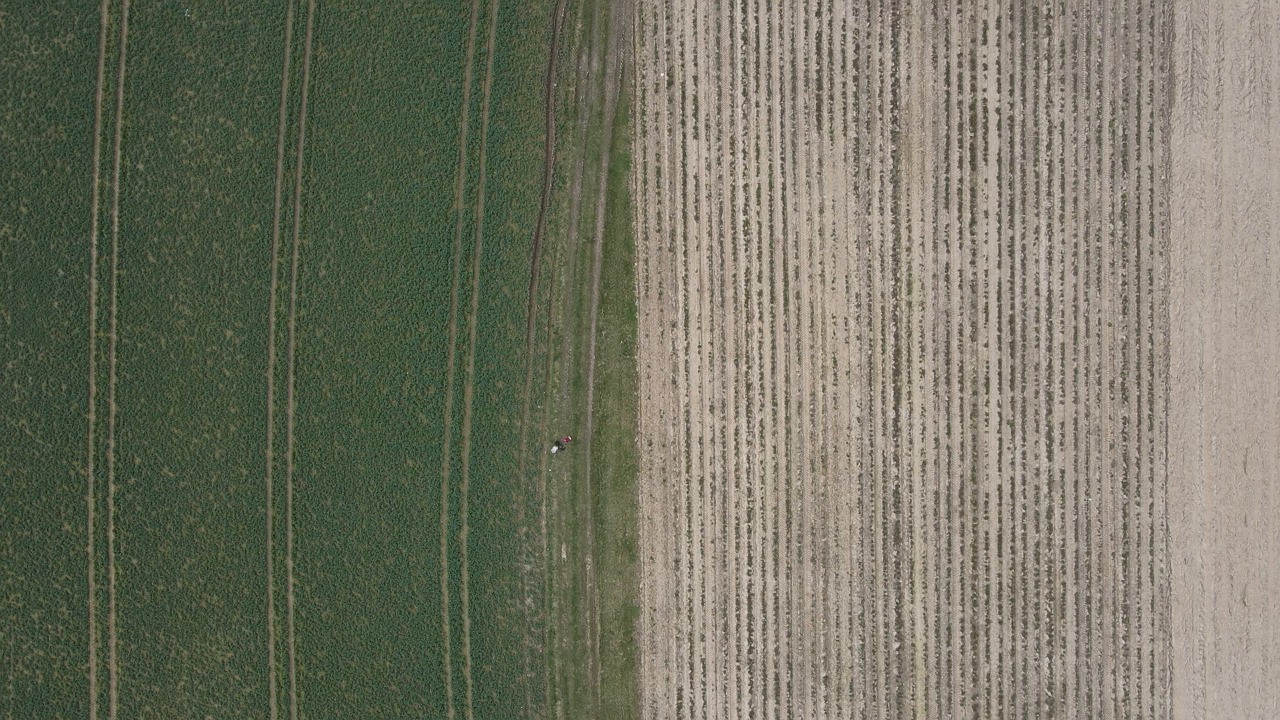 Field, Cultivation, Landscape. Free Stock Video - Pixabay