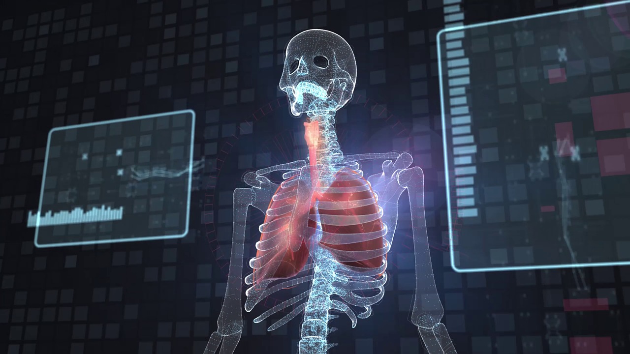 Skelton, Anatomy, Body. Free Stock Video - Pixabay