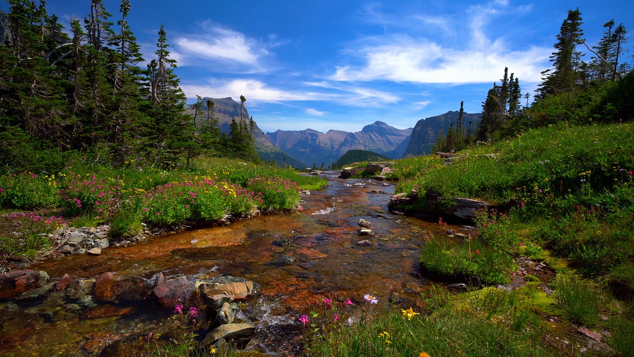 Mountain, Stream, Creak. Free Stock Video - Pixabay