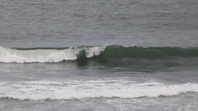 Indian Ocean, Sea, Waves. Free Stock Video - Pixabay