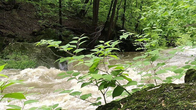 Nature, Landscape, River. Free Stock Video - Pixabay