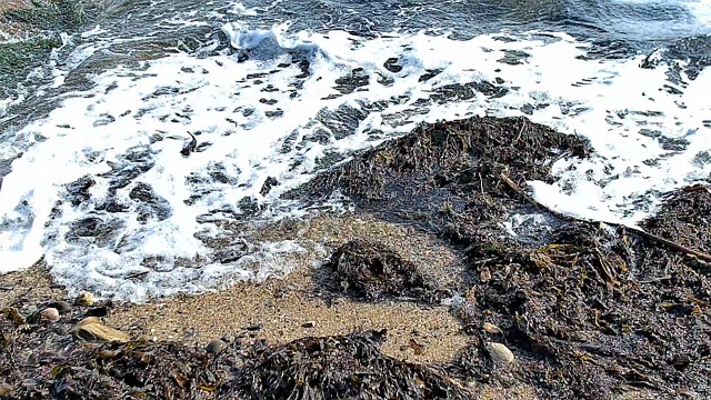 Meer Strand Sand - Free video on Pixabay