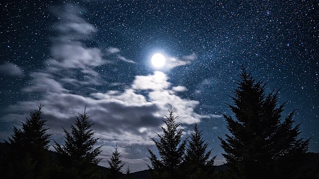 Moon, Nature, Night. Free Stock Video - Pixabay