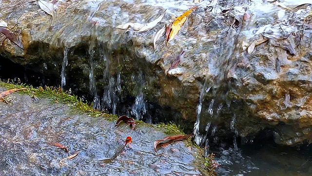 Natura Cascata Foresta - Free video on Pixabay