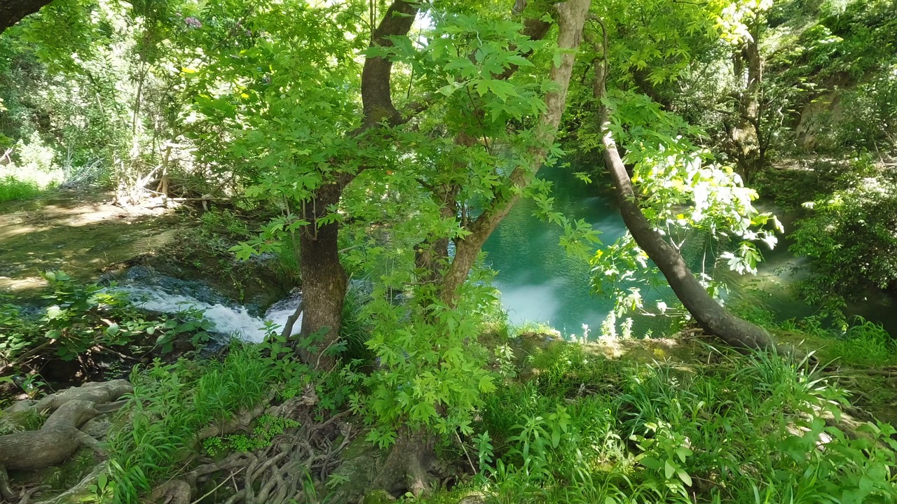 Waterfall, River, View. Free Stock Video - Pixabay