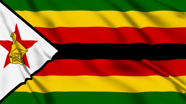 Zimbabwe Hare Victoria Falls - Free video on Pixabay