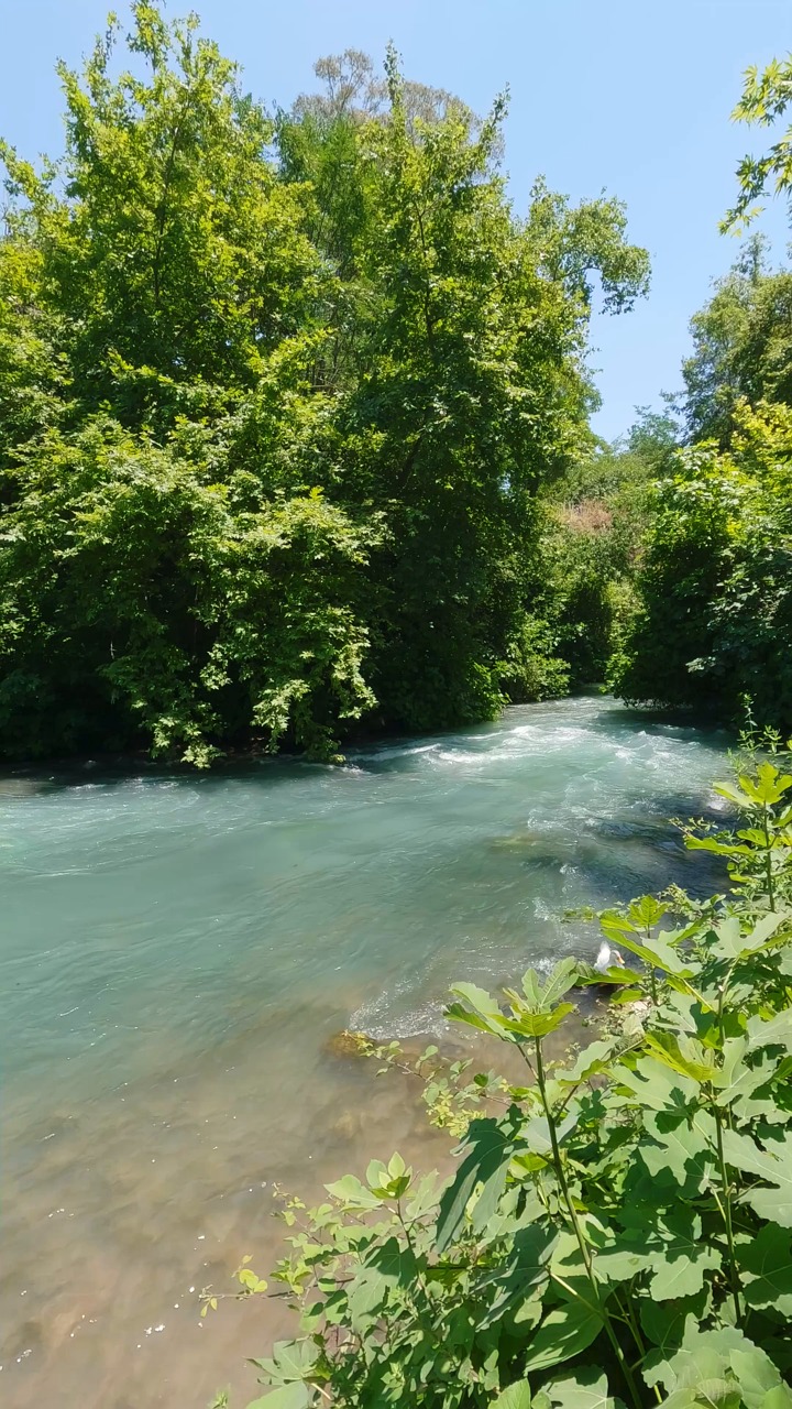 Cascada Río Naturaleza - Free video on Pixabay