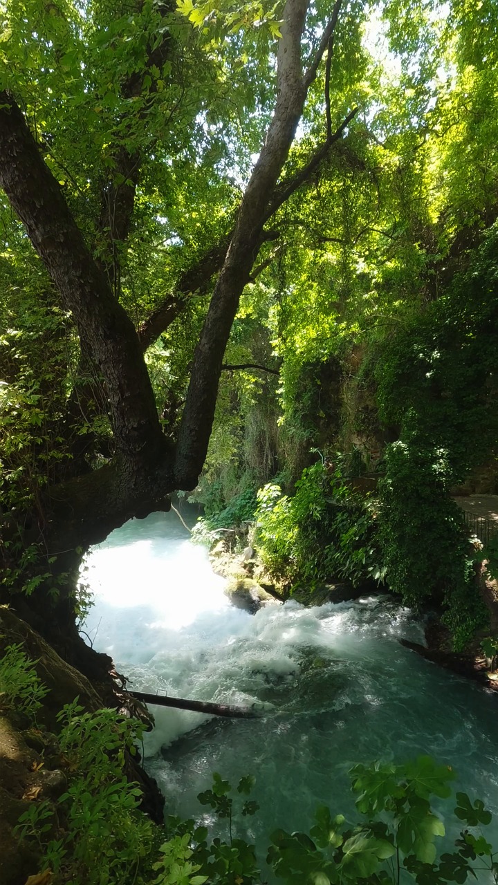 Cachoeira Rio Natureza - Free video on Pixabay