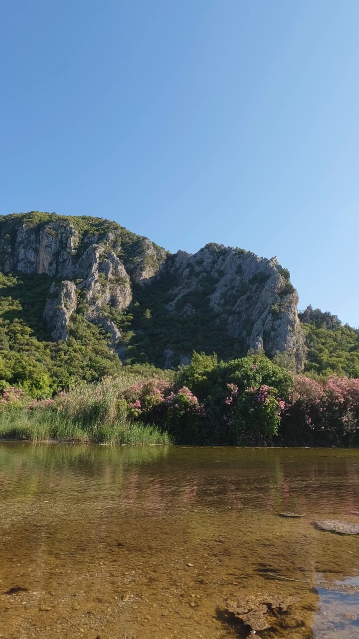 Cachoeira Rio Natureza - Free video on Pixabay
