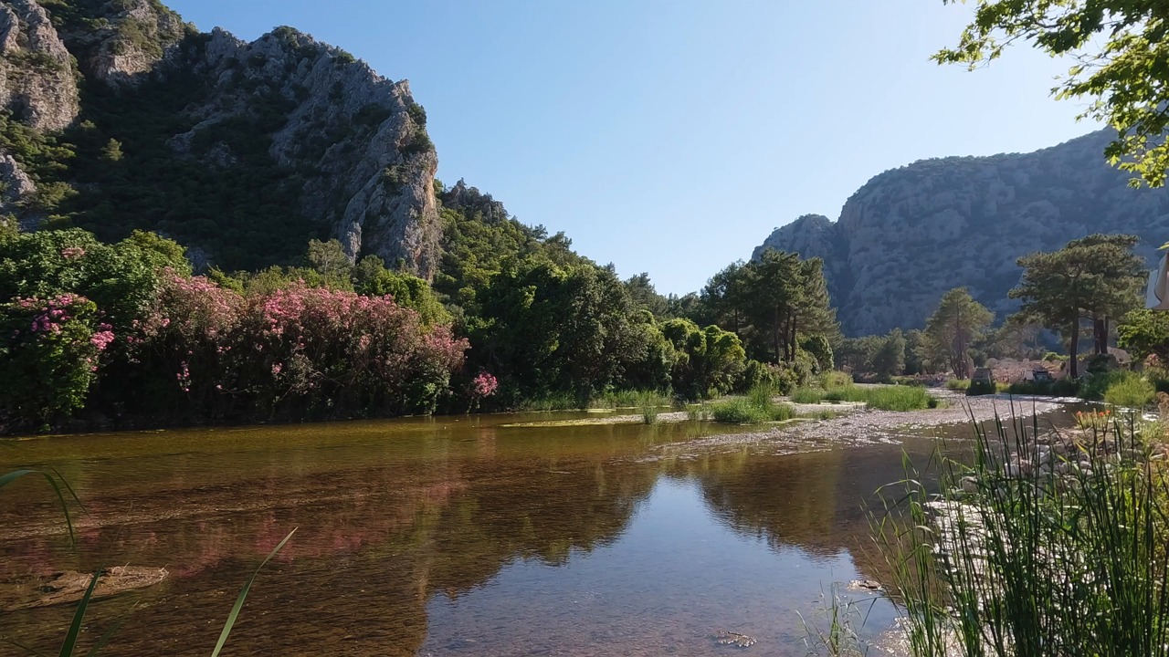 Rivier Doel Natuur - Free video on Pixabay