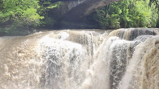 Nature, Waterfall, Water. Free Stock Video - Pixabay